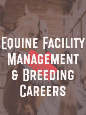 Equine Career Opportunities - A Big List of Jobs! - Equine JobTrack